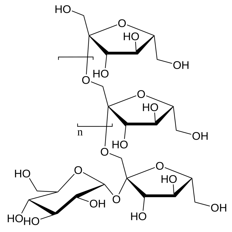 Suffering Saccharides, The Importance of FOS and MOS. - Cherish Pet Food